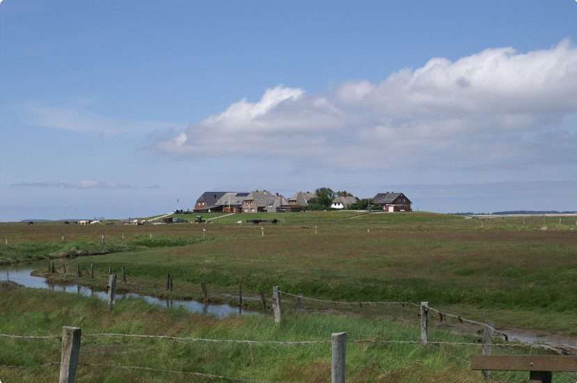 Halligen's Island - matouring.com